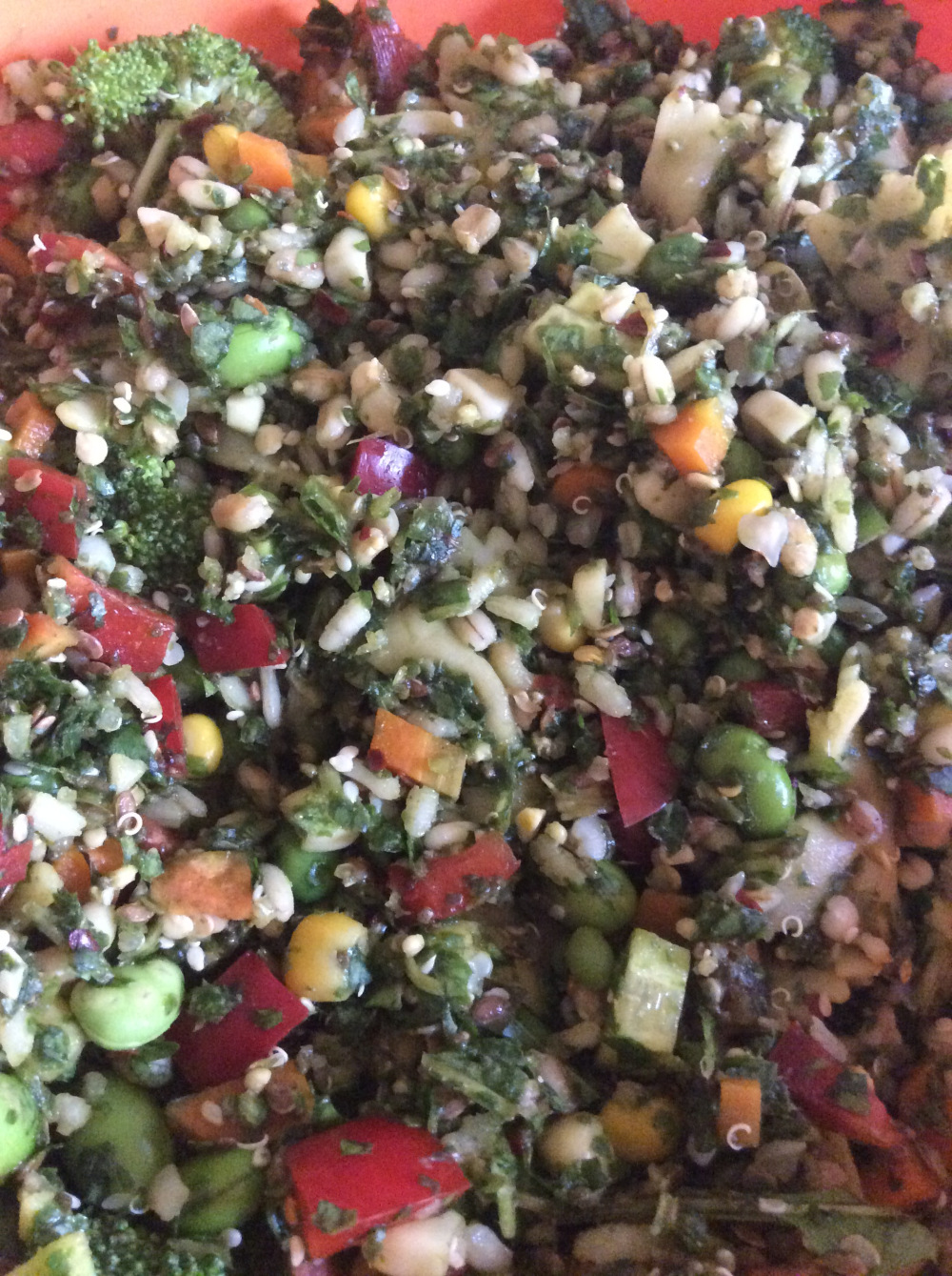 Simple Chop Recipe [parrot chop recipe] — Prego Dalliance Sanctuary