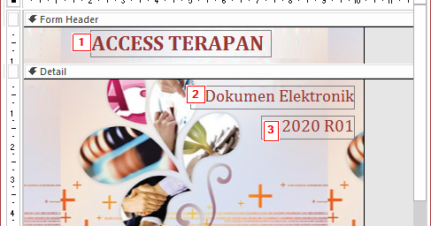 2020 - Access Terapan