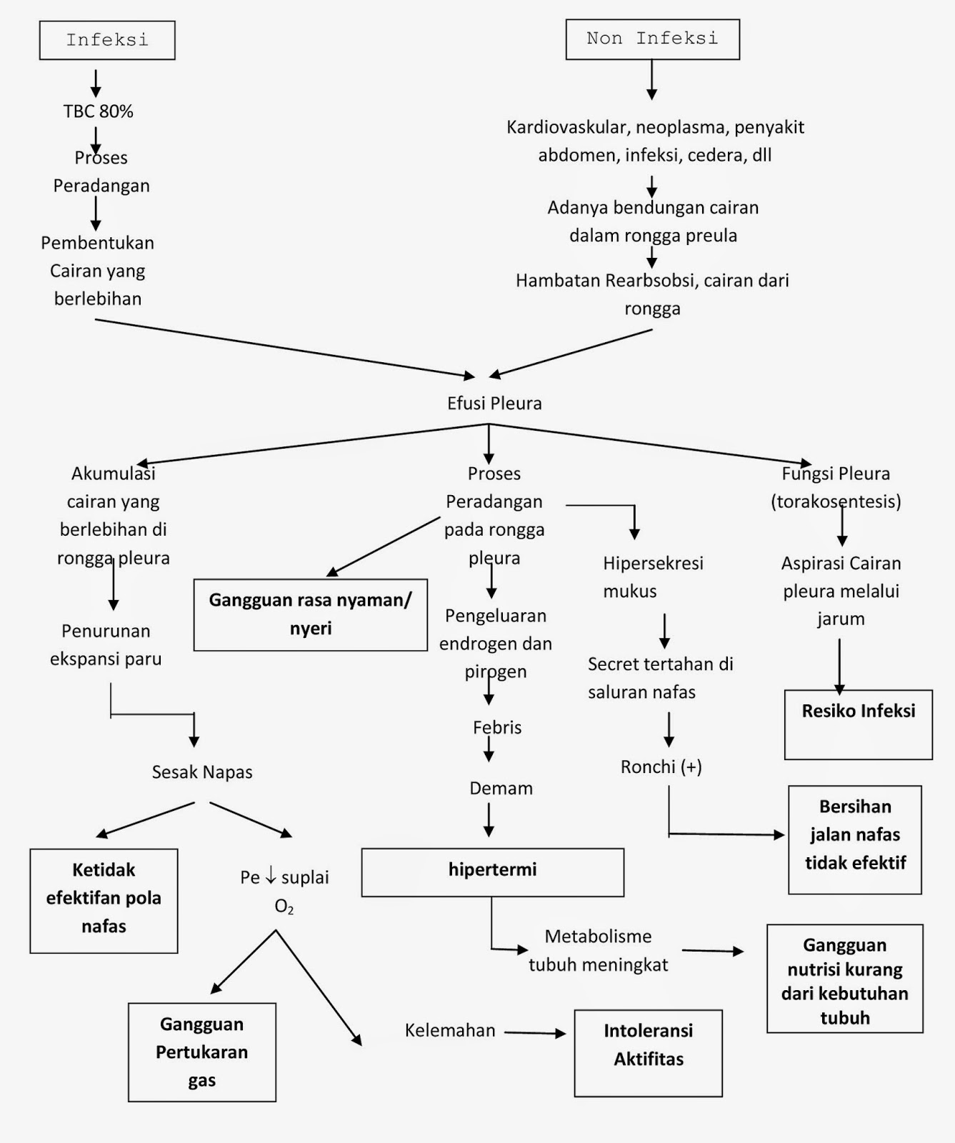 Muh. Saipul Zohri: ASUHAN KEPERAWATAN PADA KLIEN DENGAN EFUSI PLEURA