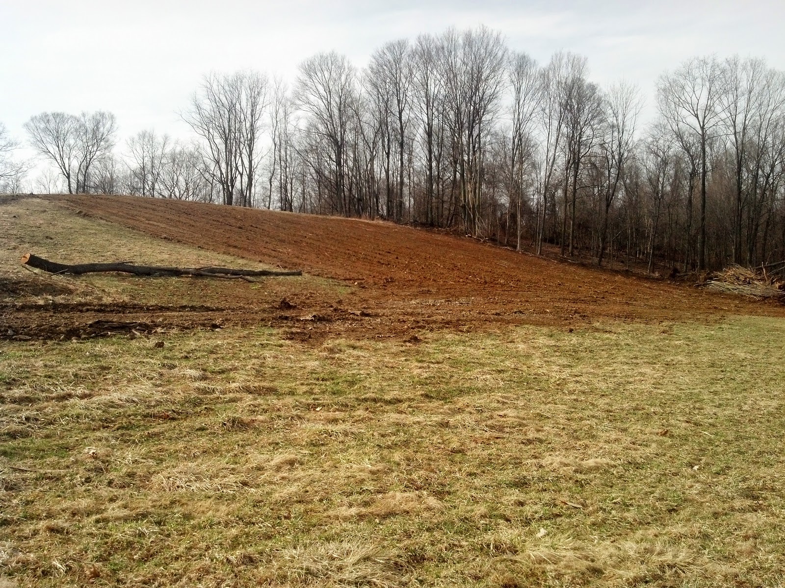 Conser Run Report: Field clearing project almost done and a surprise ...