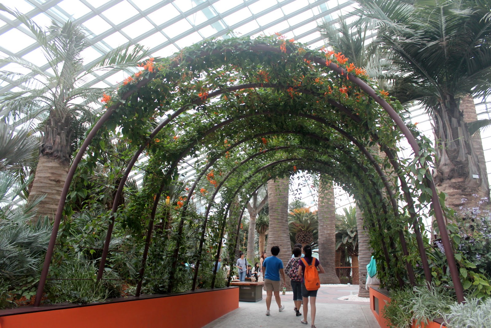 P for Phyllis: Gardens by the Bay @ Singapore