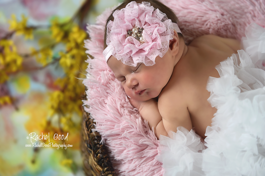 rachel good photography: Landyn. 6 days fresh | Cleveland, OH Newborn ...