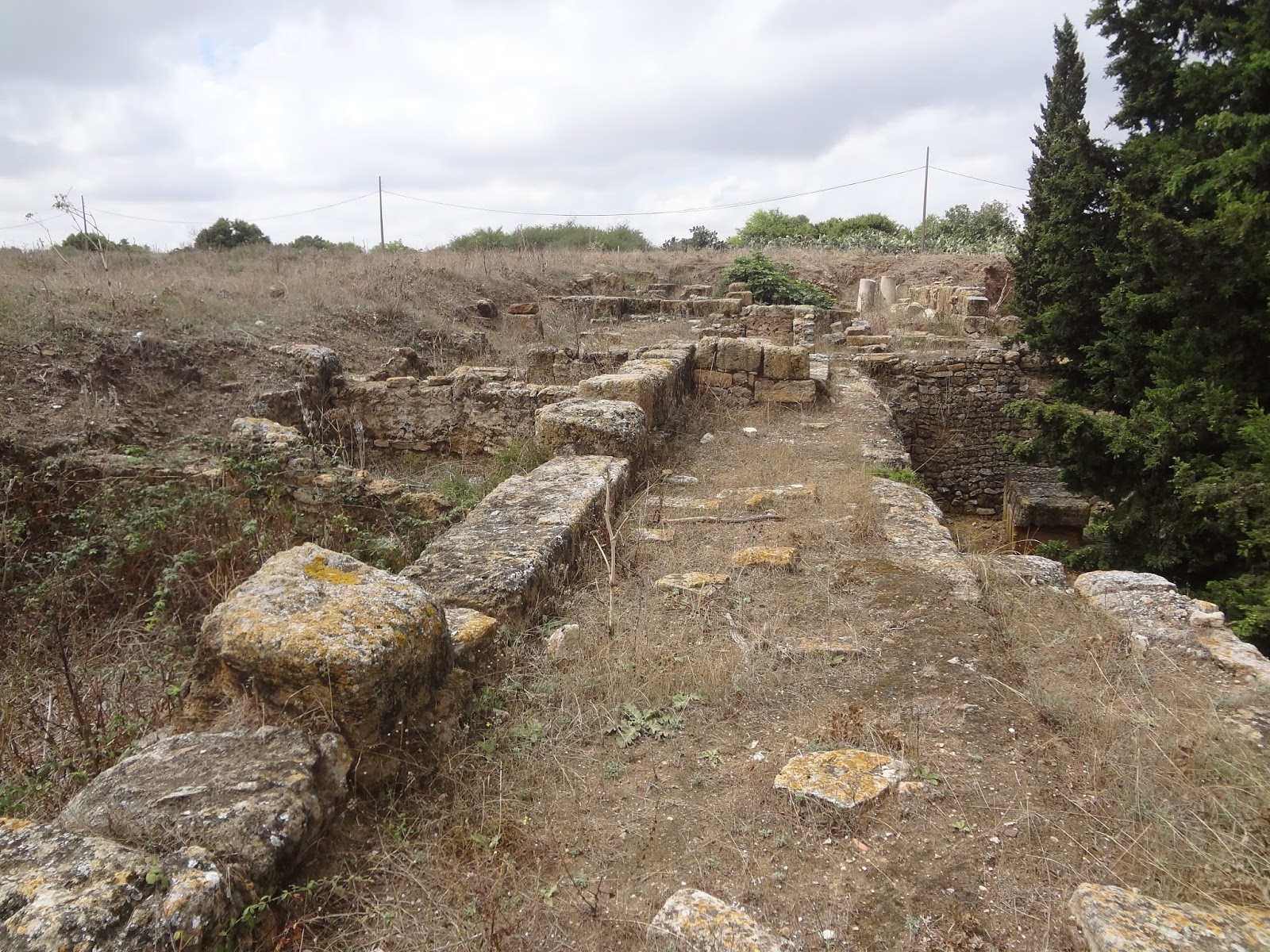 Sites archéologiques en Tunisie: Le site archeologique Utique