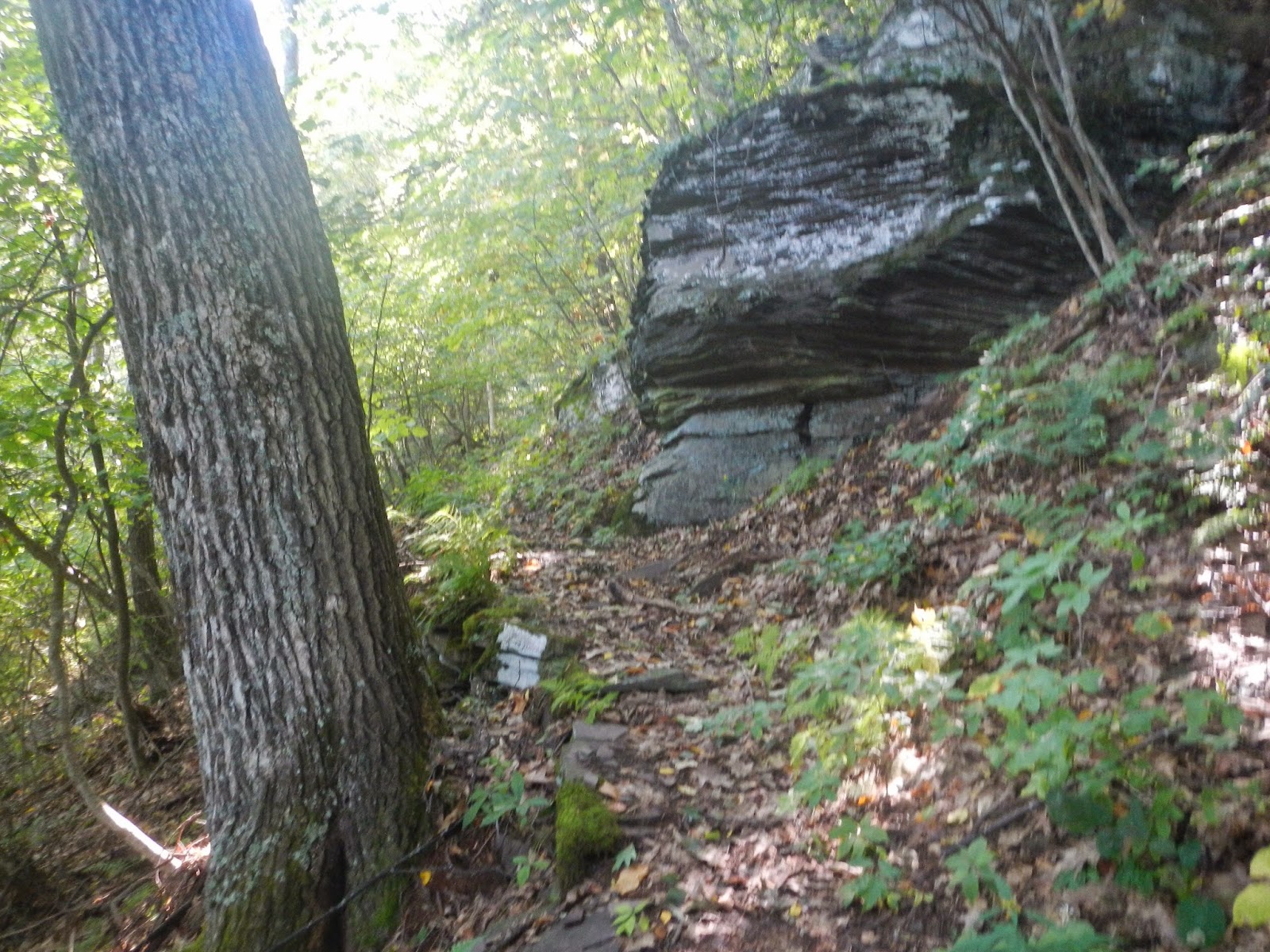 Wandering Virginia: Scaling Elliott Knob from the West