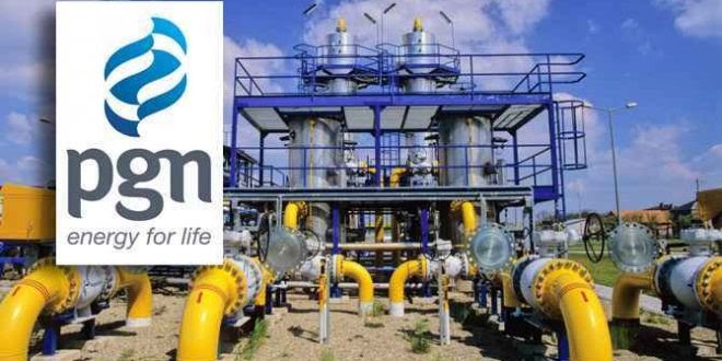Pt Perusahaan Gas Negara Tbk - Perumperindo.co.id