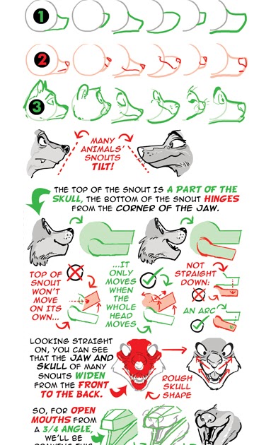 The Etherington Brothers: How to THINK when you draw SNOUTS tutorial!
