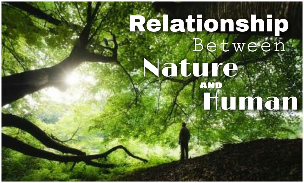 The Human - Nature Relationship and its Impact on Health: A Critical Review