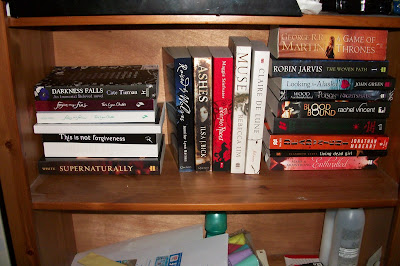 Bookcase Showcase: Much Loved Books