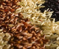 Anim Agro Technology: BERAS MERAH DAN BERAS WARNA - MANA BAIK