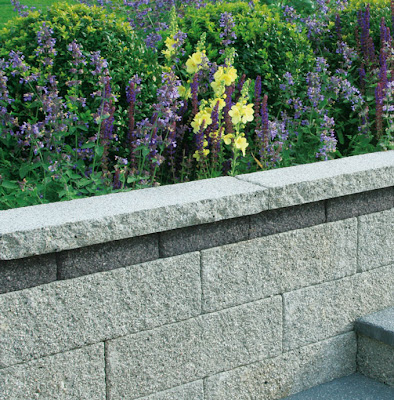 French Vocabulary Illustrated: chaperon