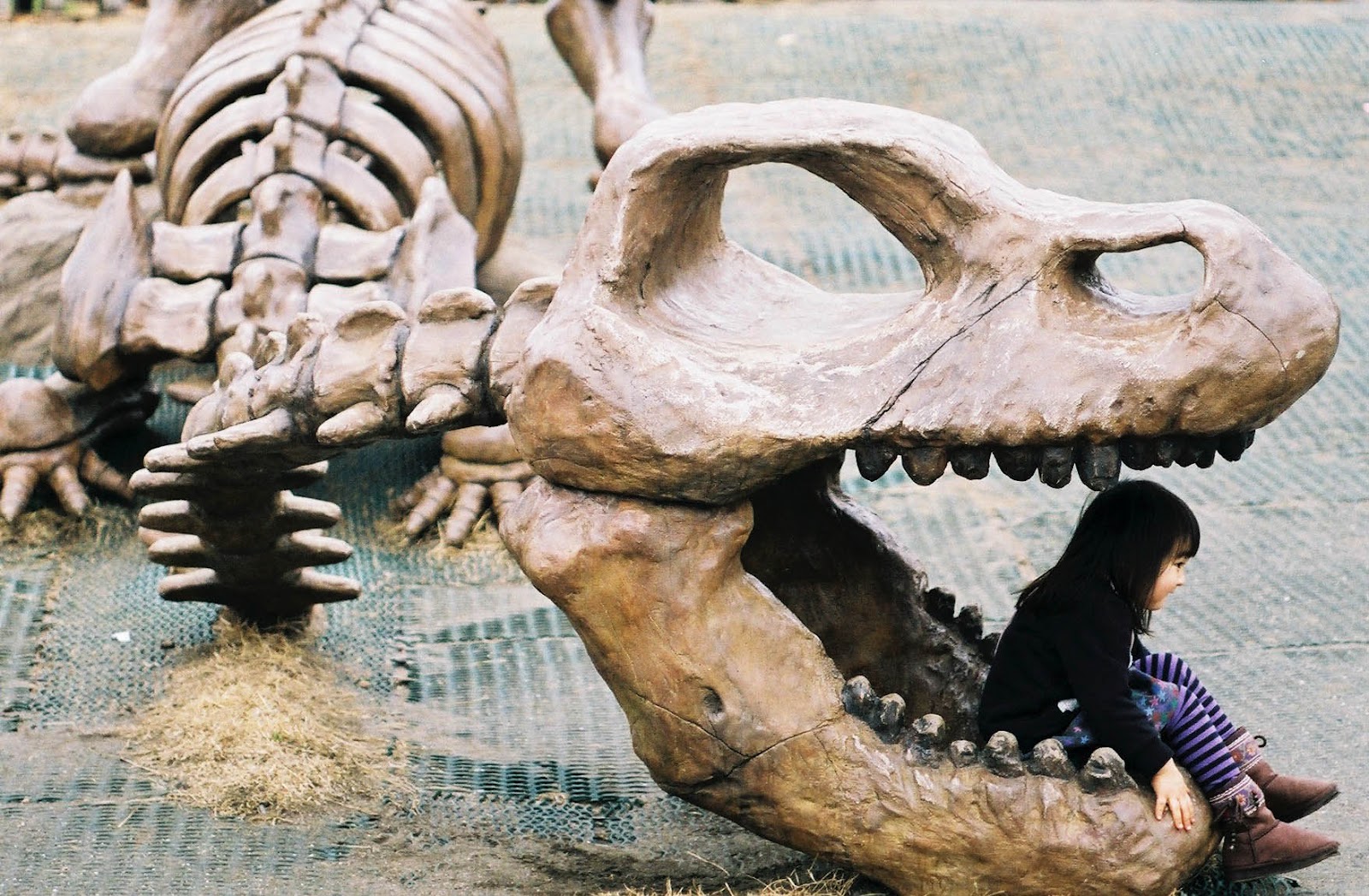 M42 MOUNT SPIRAL: Schneider-Kreuznach Xenotar 80mm F2.8(Compur/Prontar ...