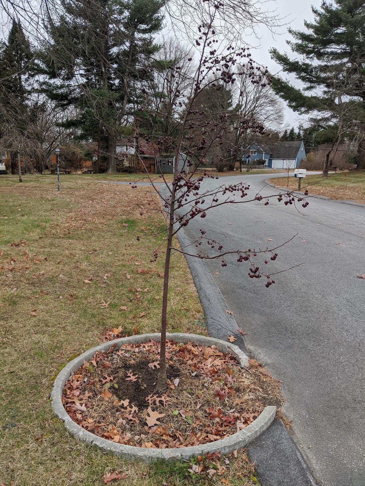 Franklin Matters: Town Council Summary for Nov 13, 2019