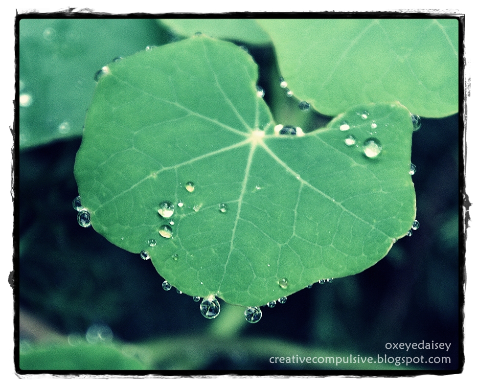 Creative Compulsive: November 2012