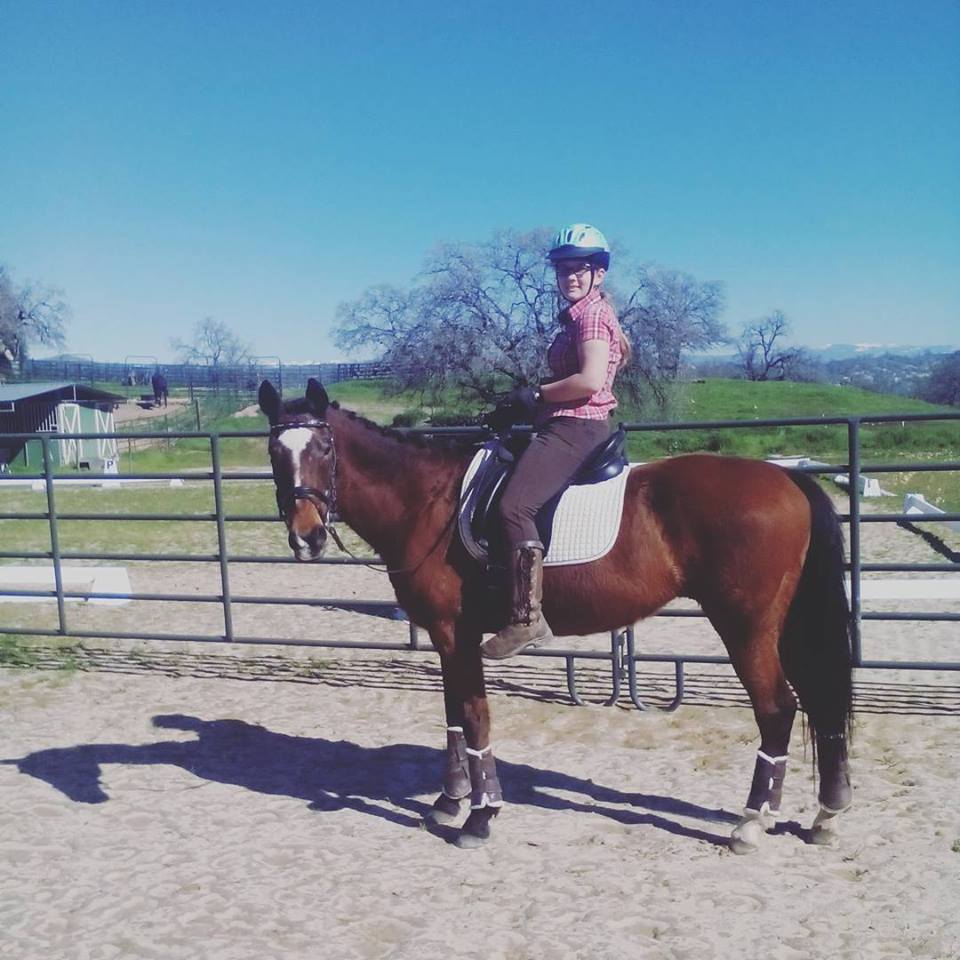 The Aspiring Equestrian: Fancy Dressage Horse