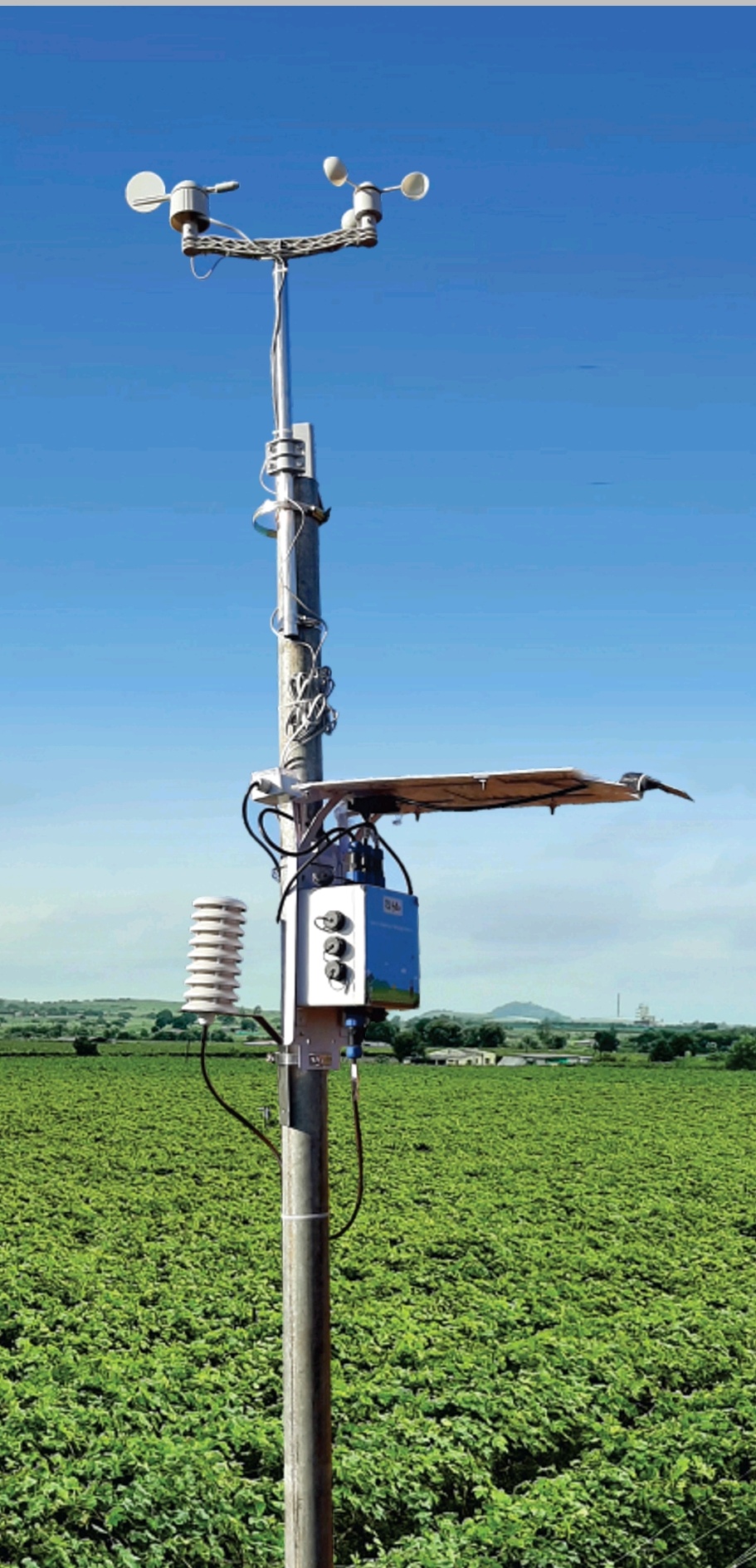 Bengaluru-based Agri-Tech Startup Fyllo Bags Rs. 3 Crores in Seed Round ...