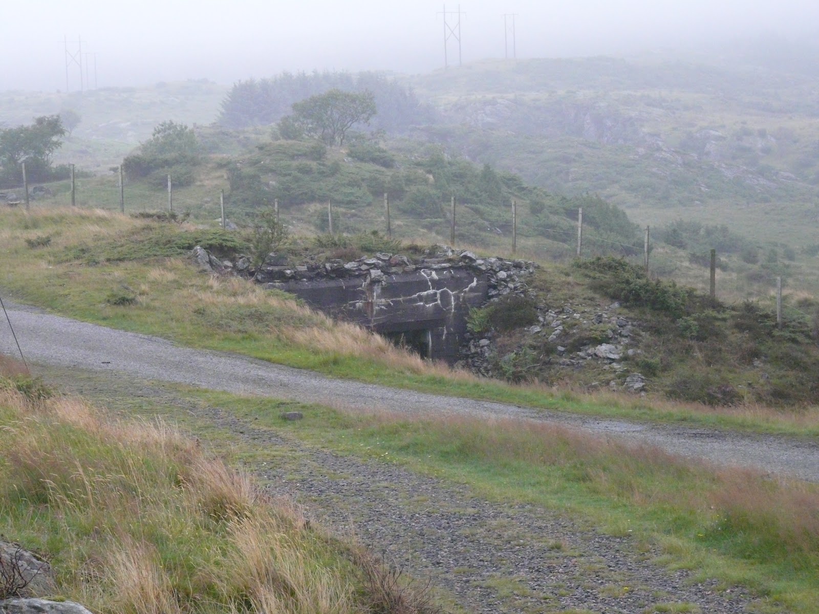 Mr Boot's Axis Blog: Fjell Festning: A Brief Overview 2