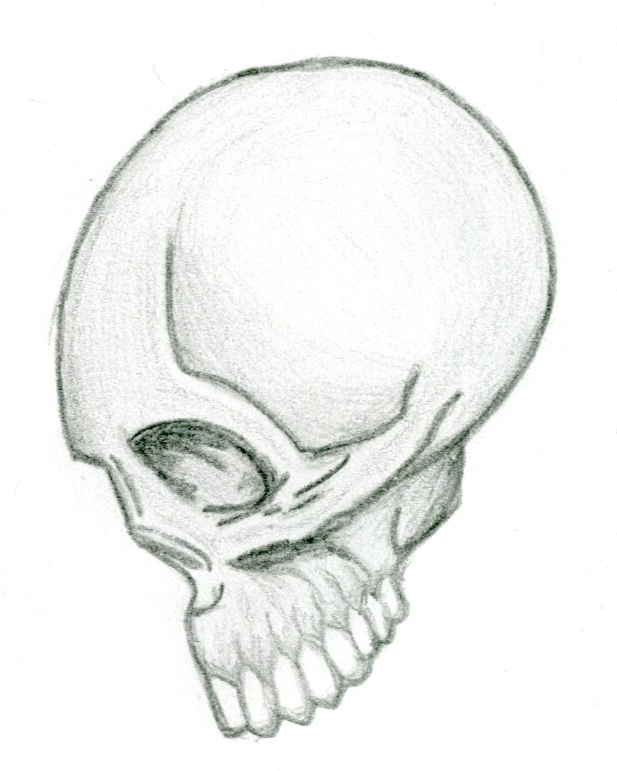 Rachael Dixon's Drawing For Animation: Skulls