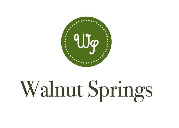 The Book Bug: Walnut Springs Press Month