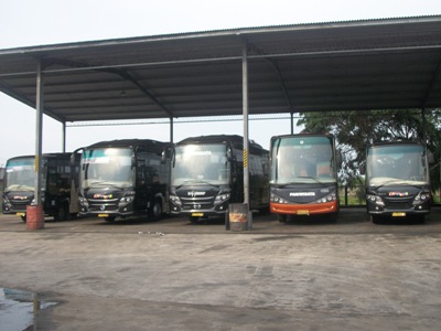 BUS WARGA BARU PARIWISATA