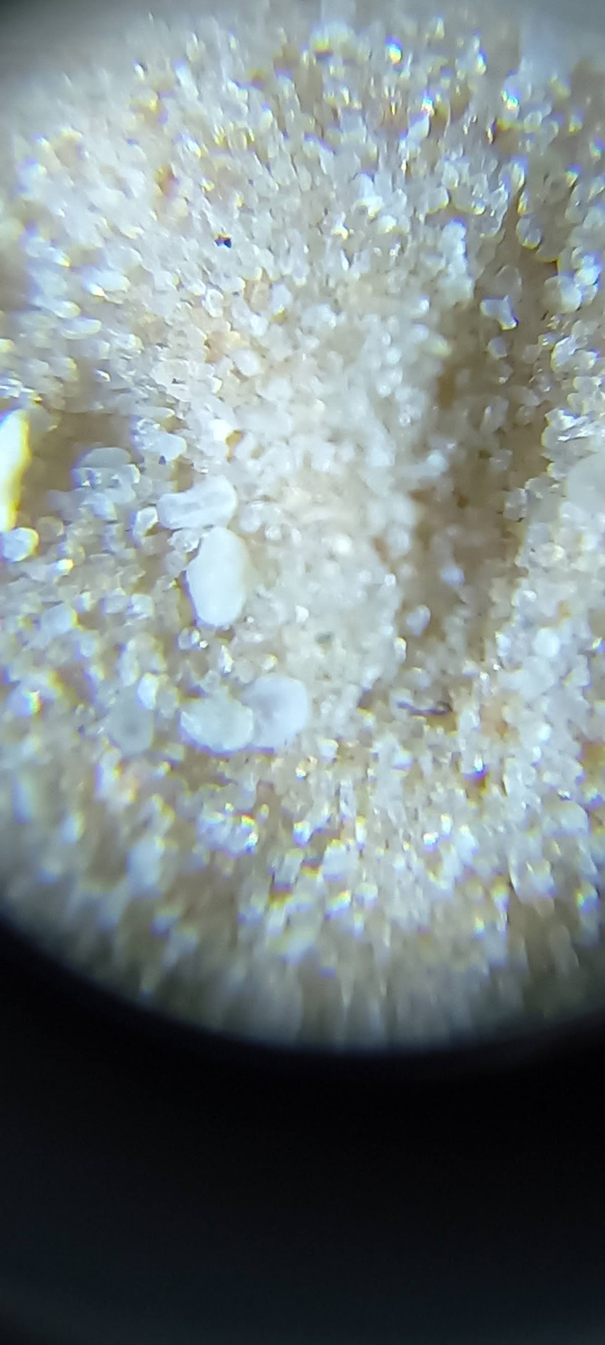 Loodusteaduste Koda: AG Maakoor koosneb kivimitest 6. klass 7.09.20