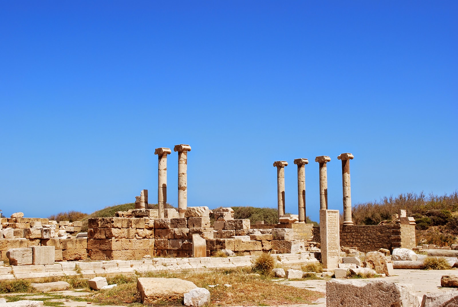 The Ascent and Demise of Carthage Module 1