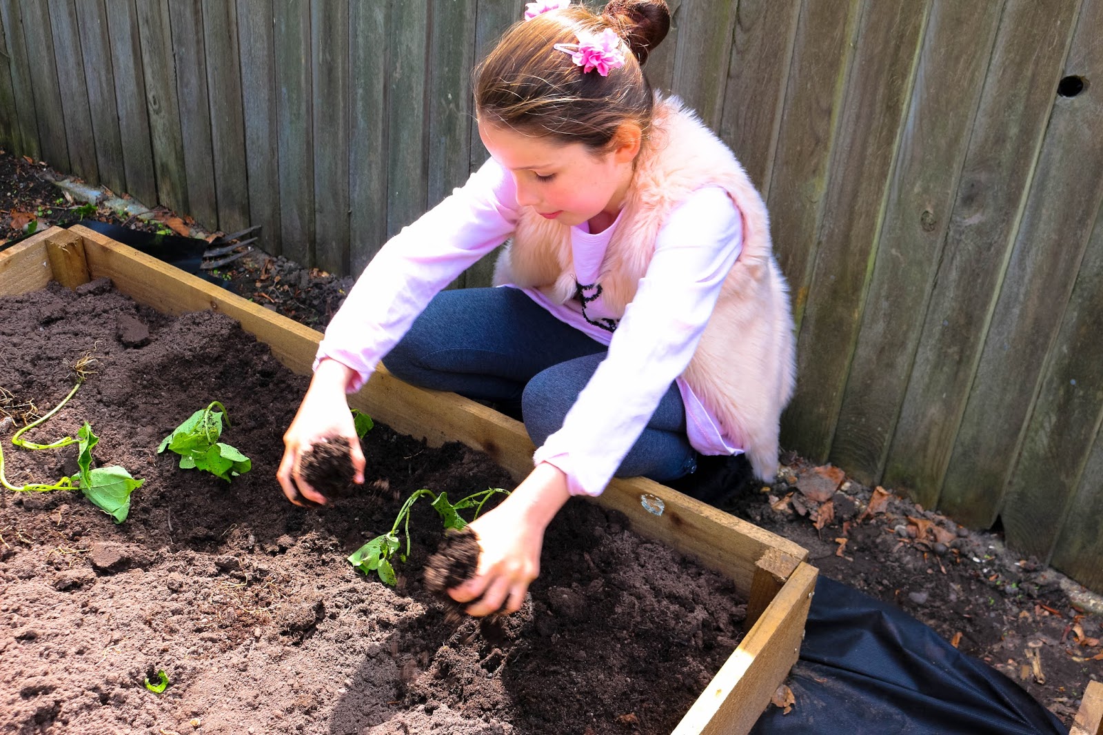 Growing our First Vegetable Garden. - Thimble and Twig