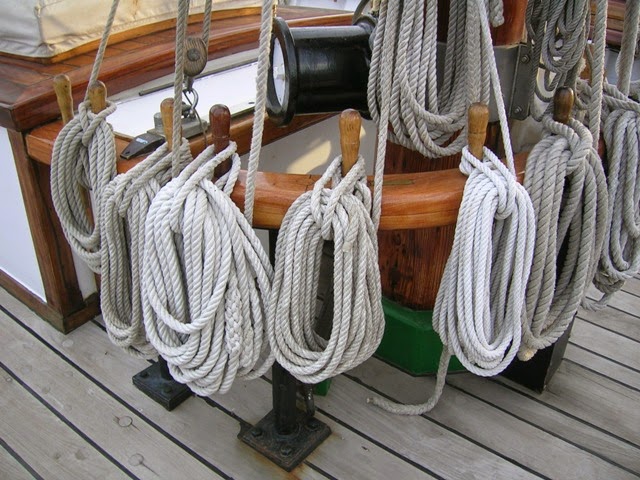 EL CAJON DE LOS CONOCIMIENTOS: DRIZA