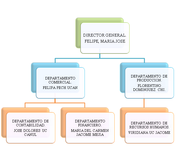 REPOSTERIA Y PASTELERIA BAJA EN CALORIAS " DELICIOUS": ORGANIGRAMA