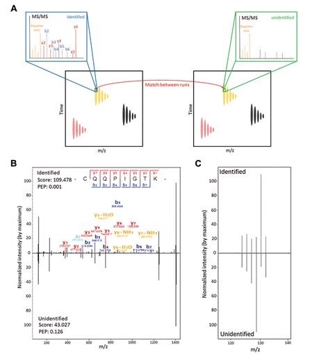 News in Proteomics Research: Match between runs for Reporter Ion Quan?!?!?