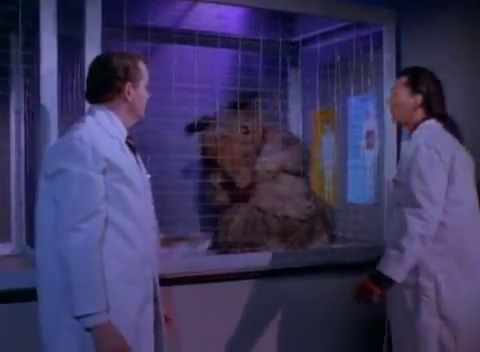 eD2k a DD: Attack of the 60 Foot Centerfolds (1995)