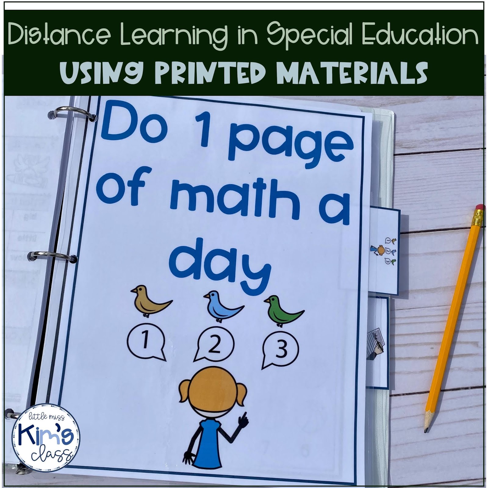 Little Miss Kim's Class: Online / Distance Learning in my Special ...