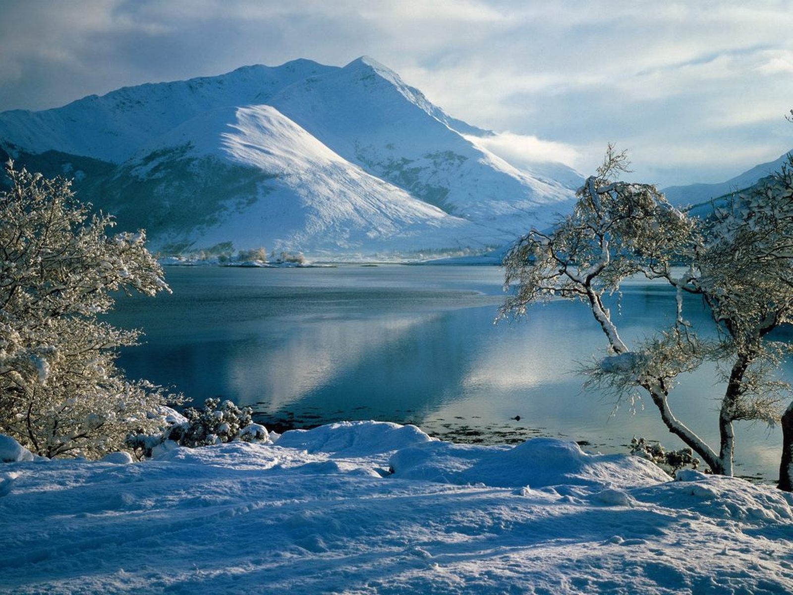 Wallpapers: Winter Scenery