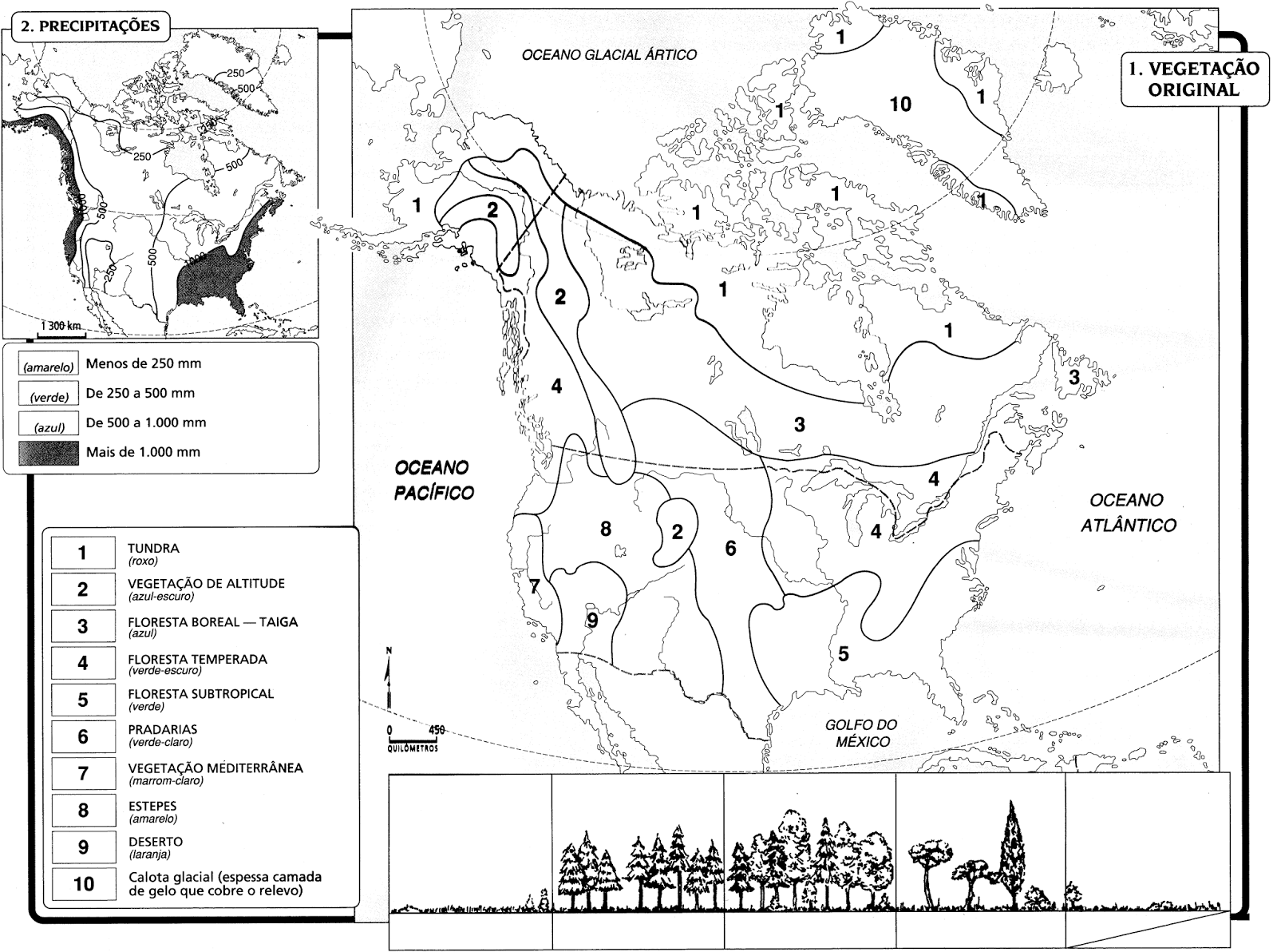 Geografia Fundamental: AMÉRICA ANGLO-SAXÔNICA – VEGETAÇÃO