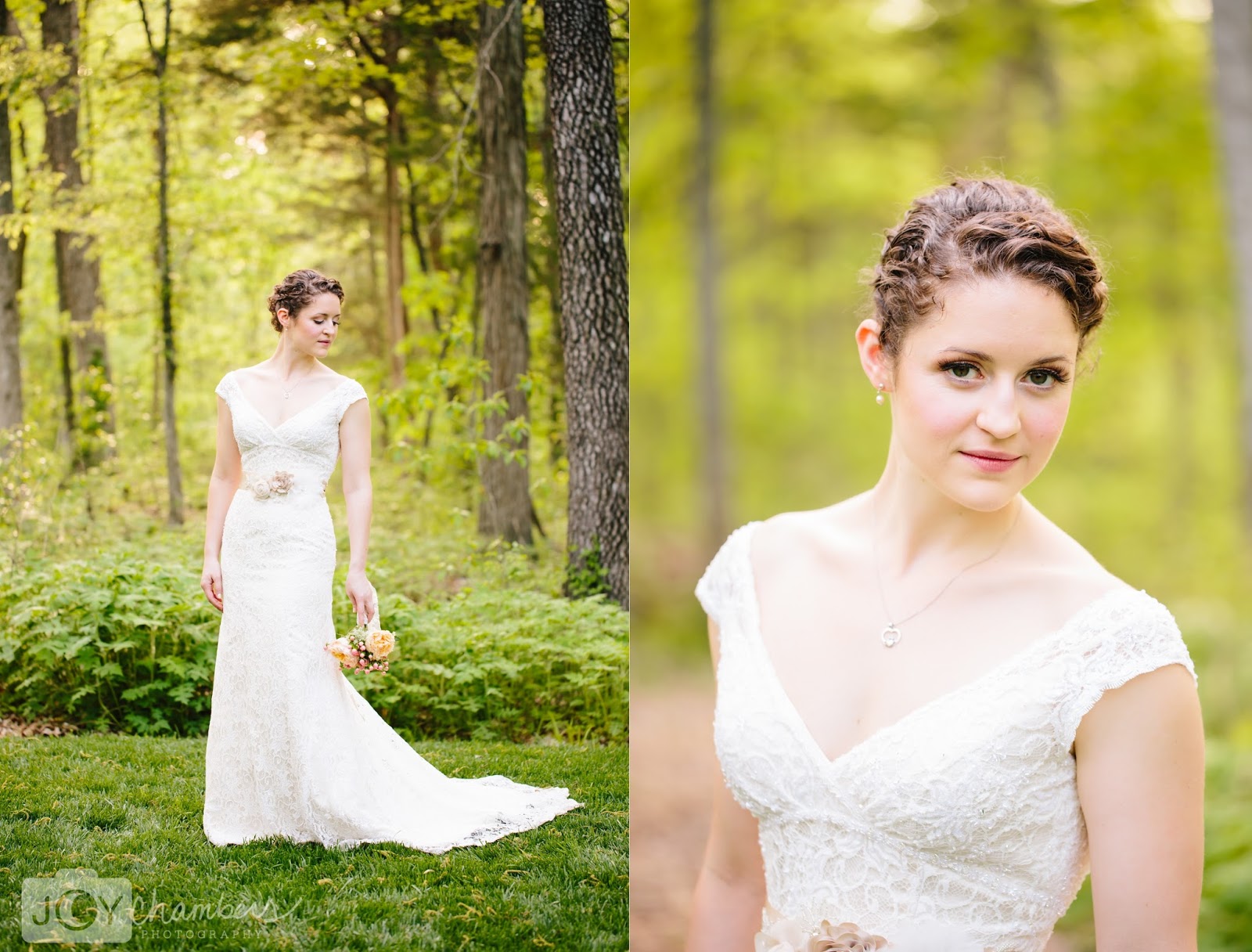 Joy Chambers Photography: Lizzy + Kieran | The Wren's Nest ...