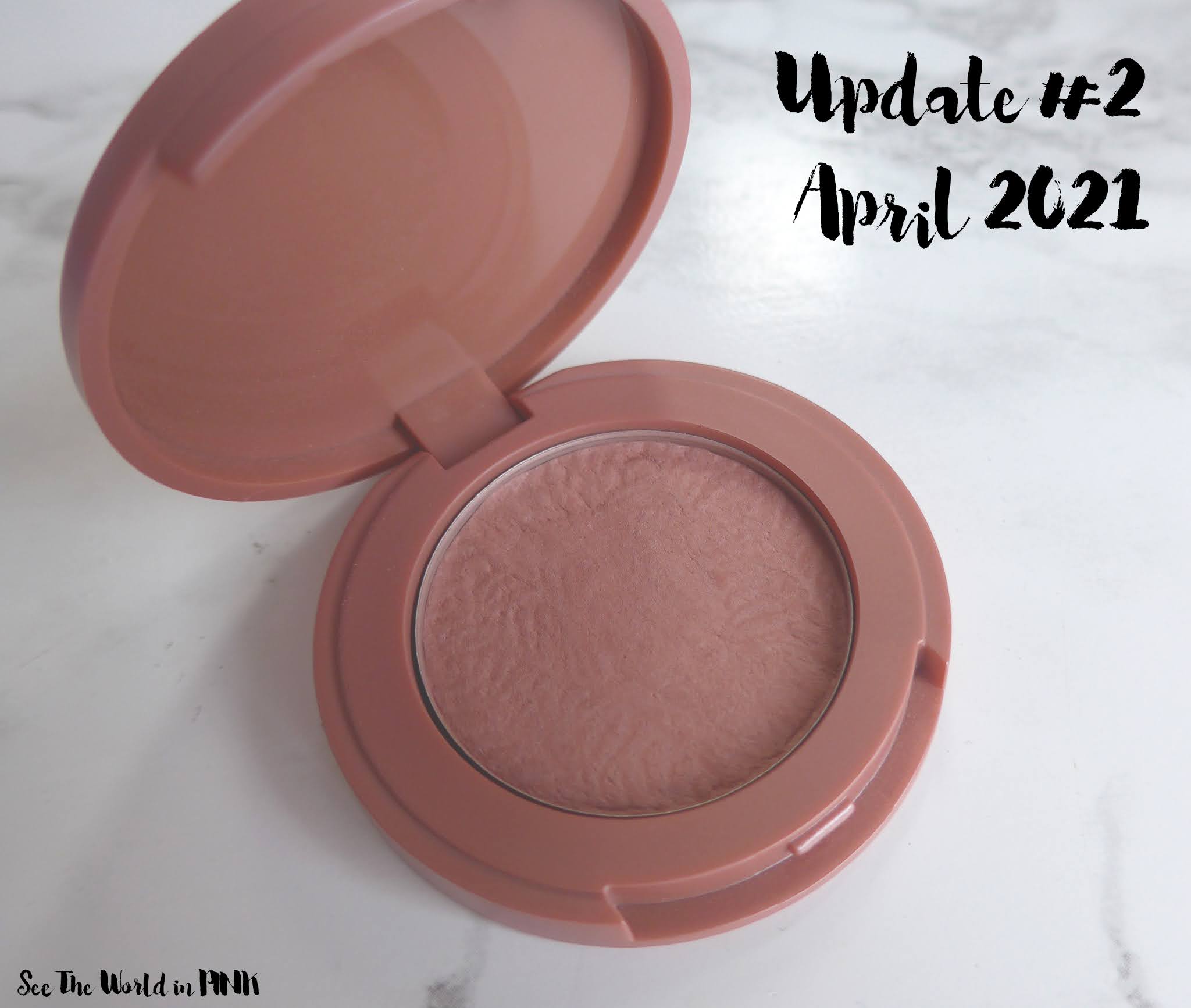 Project Pan 21 in 2021 ~ Update #2 | See the World in PINK