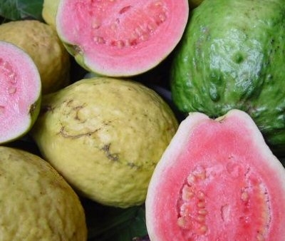 .: Les fruits du Sénégal