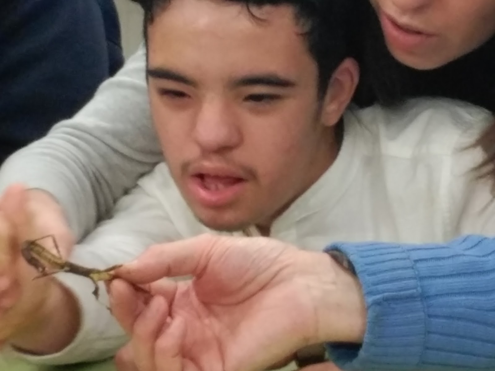 AULA ESTUPENDA: TALLER DE INSECTOS