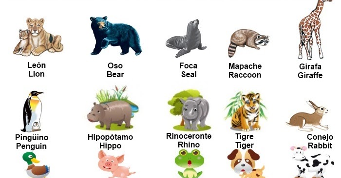List of animals in Spanish - Spanish to English know-how