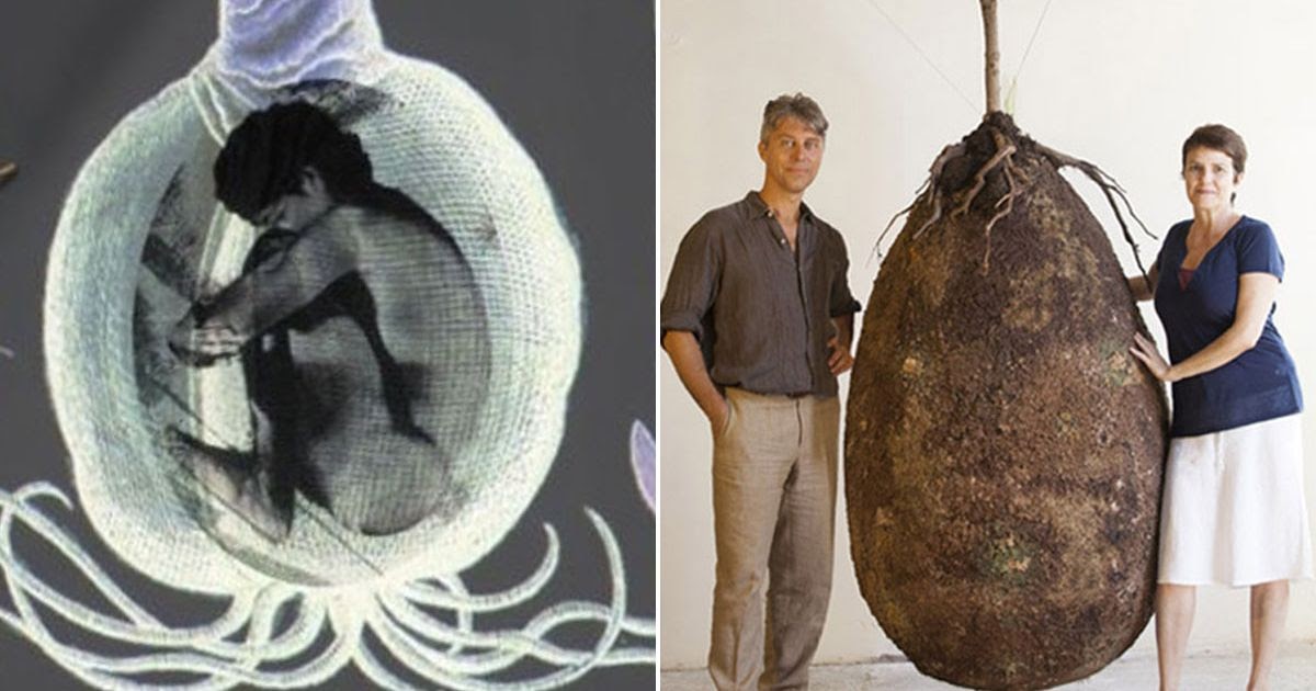 Biodegradable burial pod turns your body into a tree.