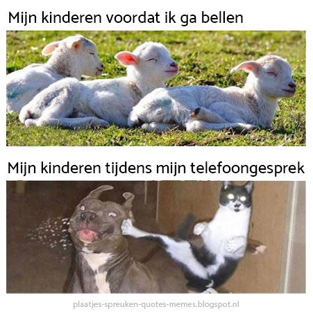 Plaatjes met grappige quotes en afbeeldingen met mooie spreuken om te ...