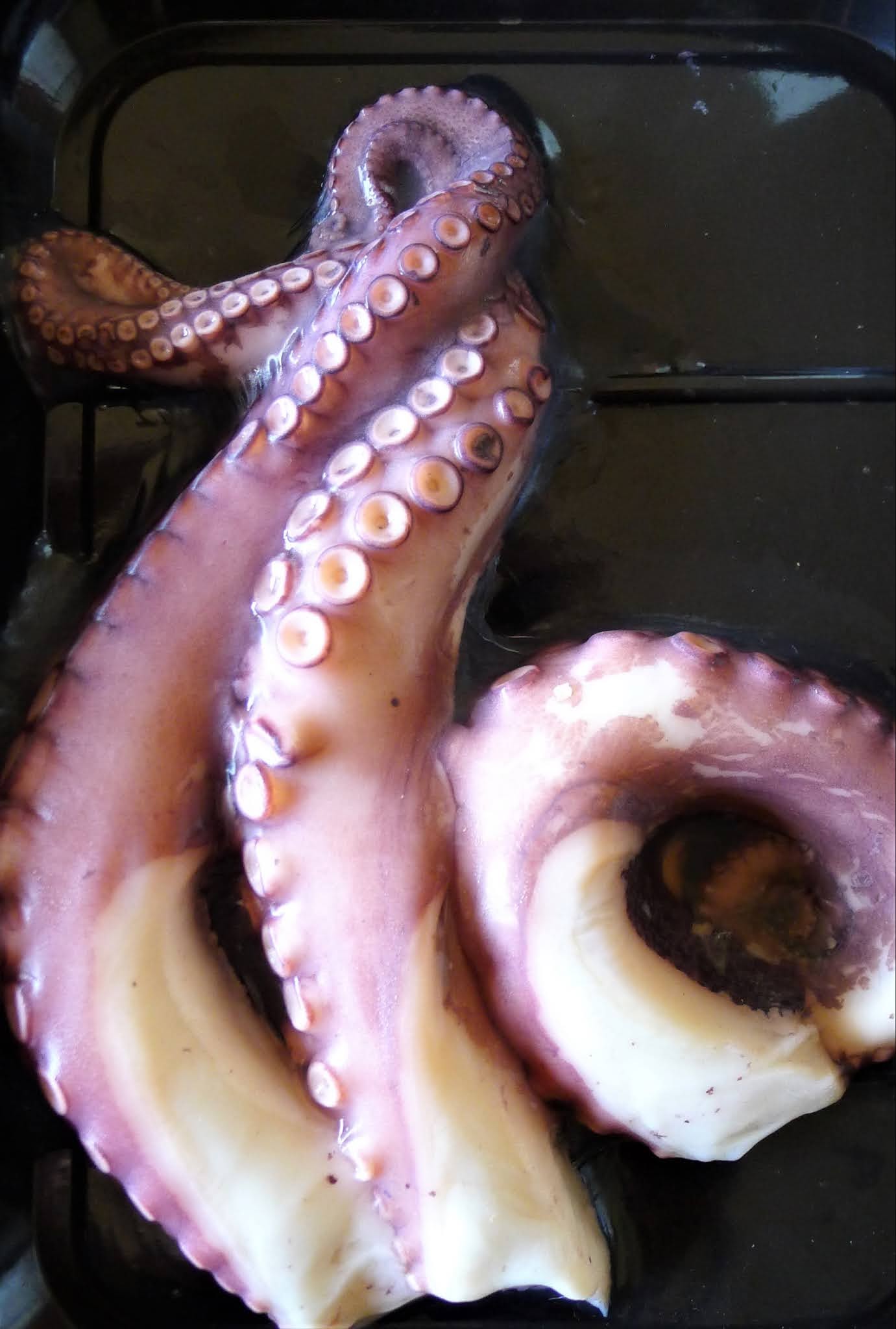 MY KITCHEN IN SPAIN: IRRESISTIBLE GRILLED OCTOPUS