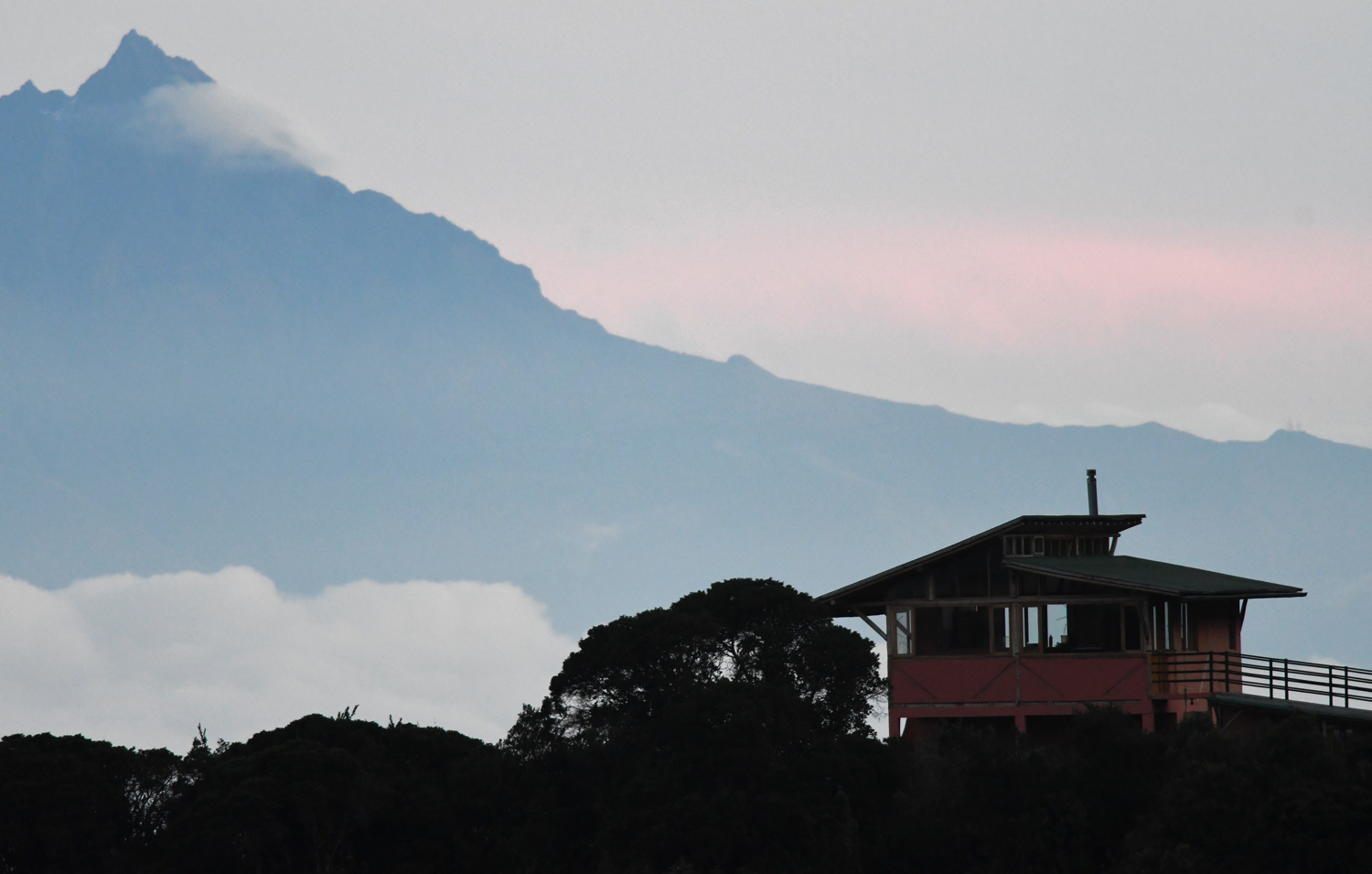 Explorations of an Ecologist: Reserva Yanacocha snipe hunt
