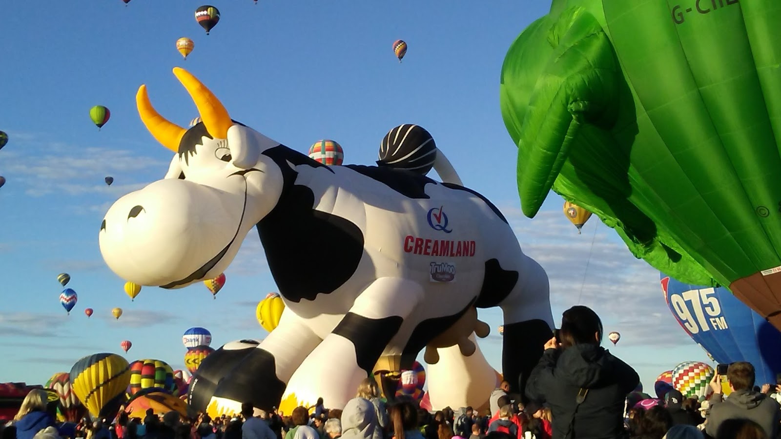 The Creamland Cow is always a favorite too. I think this is the largest ...