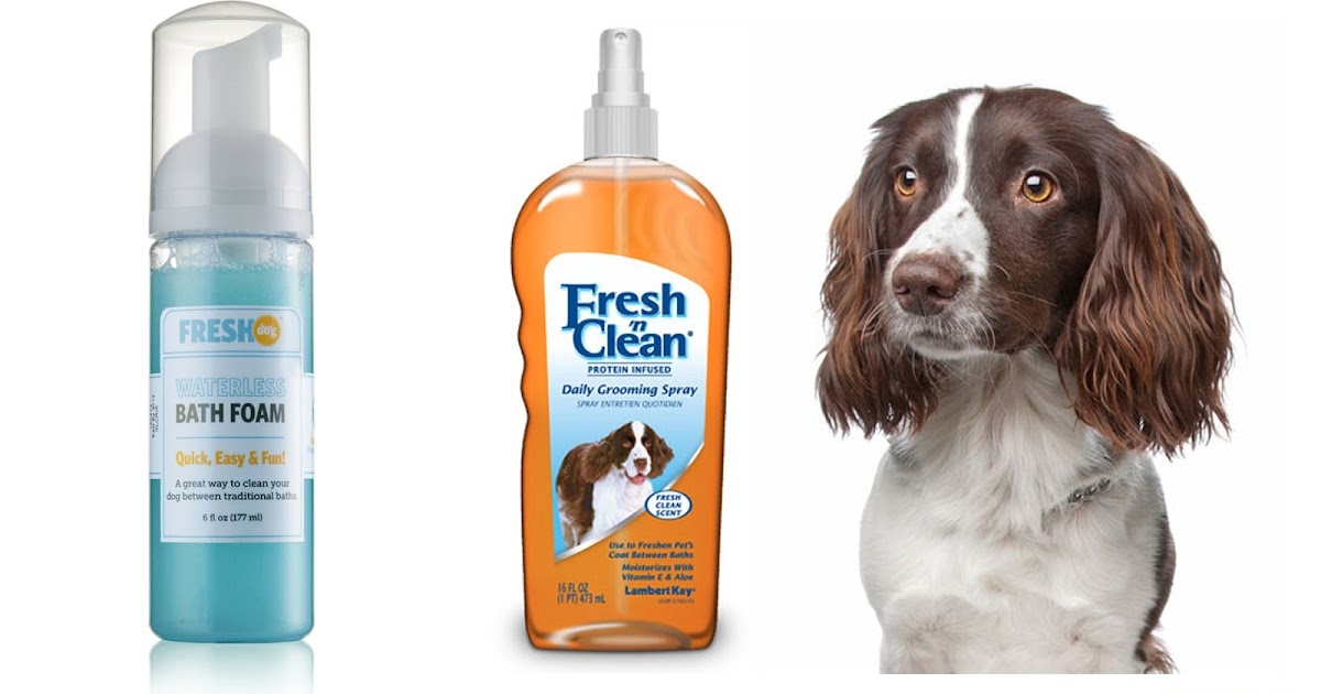 Scooby Pet Care: Top 5 ways to keep your dog clean