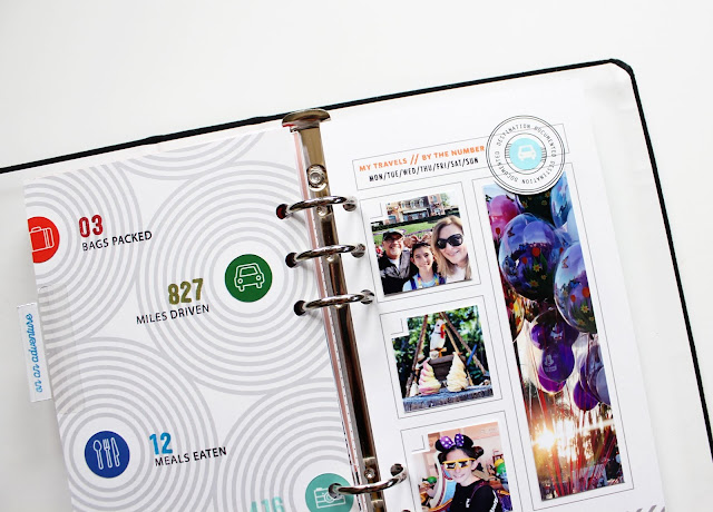 The Picinic Basket: Featuring Kelly Purkey Shop │ May Shop Update