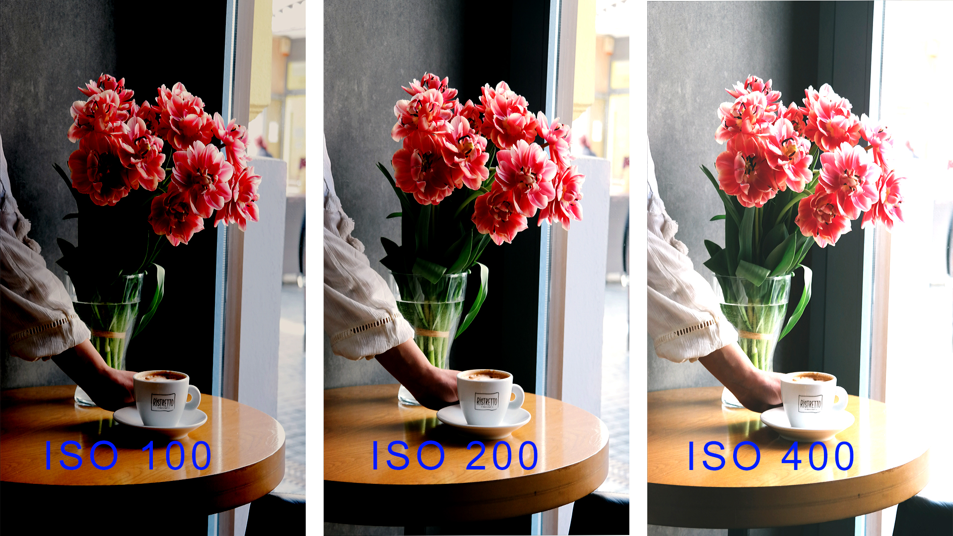 What Is Camera ISO ? - The Camera Tec