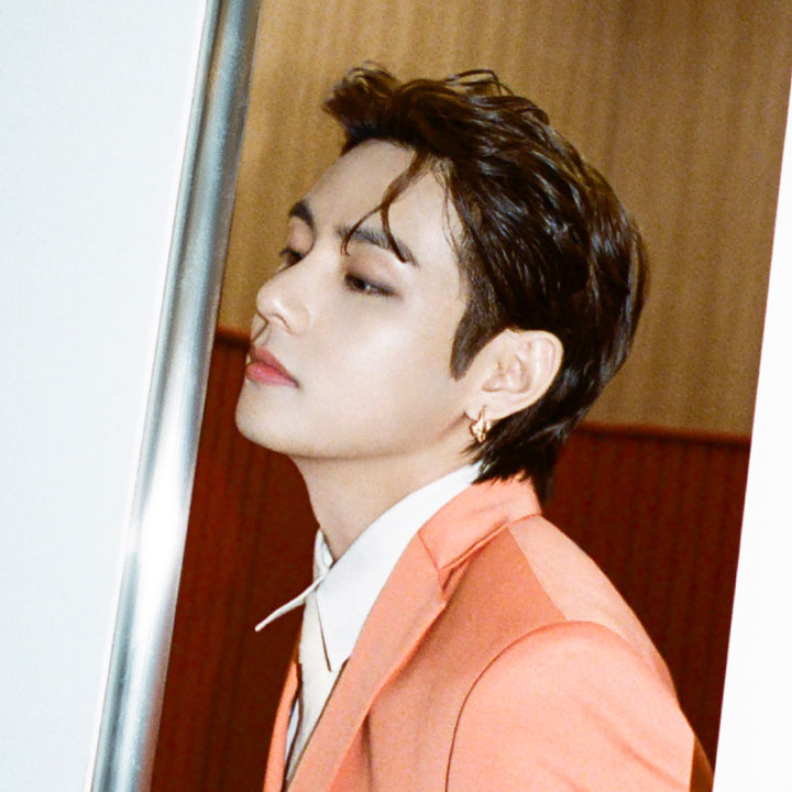 BTS Members Profile And Details | TheWaoFam