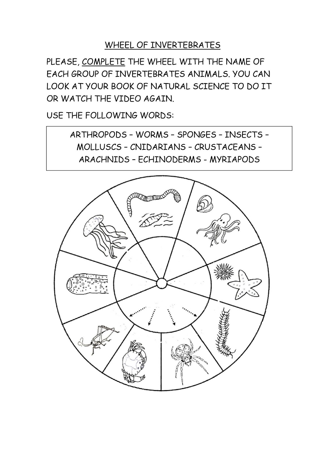 Los Increíbles de los terceros: NATURAL SCIENCE: INVERTEBRATES REVIEW