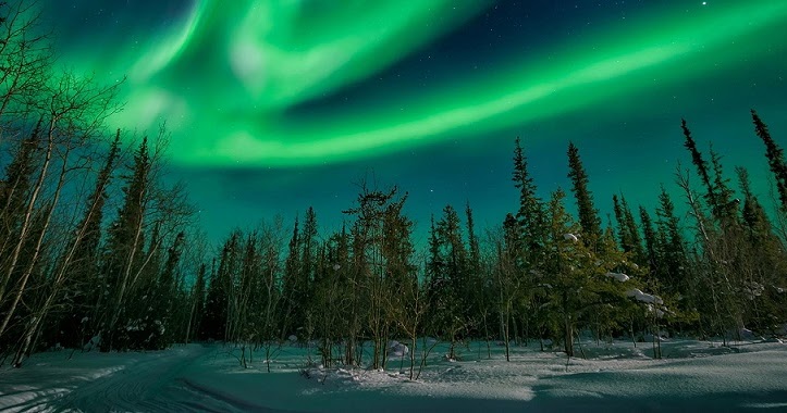 Di Mana Bisa Menyaksikan Aurora Terbaik? | Belajar Sampai Mati