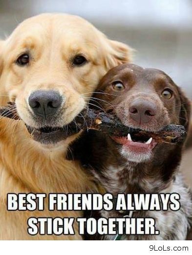 Funny Sayings For Kids HD Collection Zone funny-sayings-for-kids-hd-collection-zone